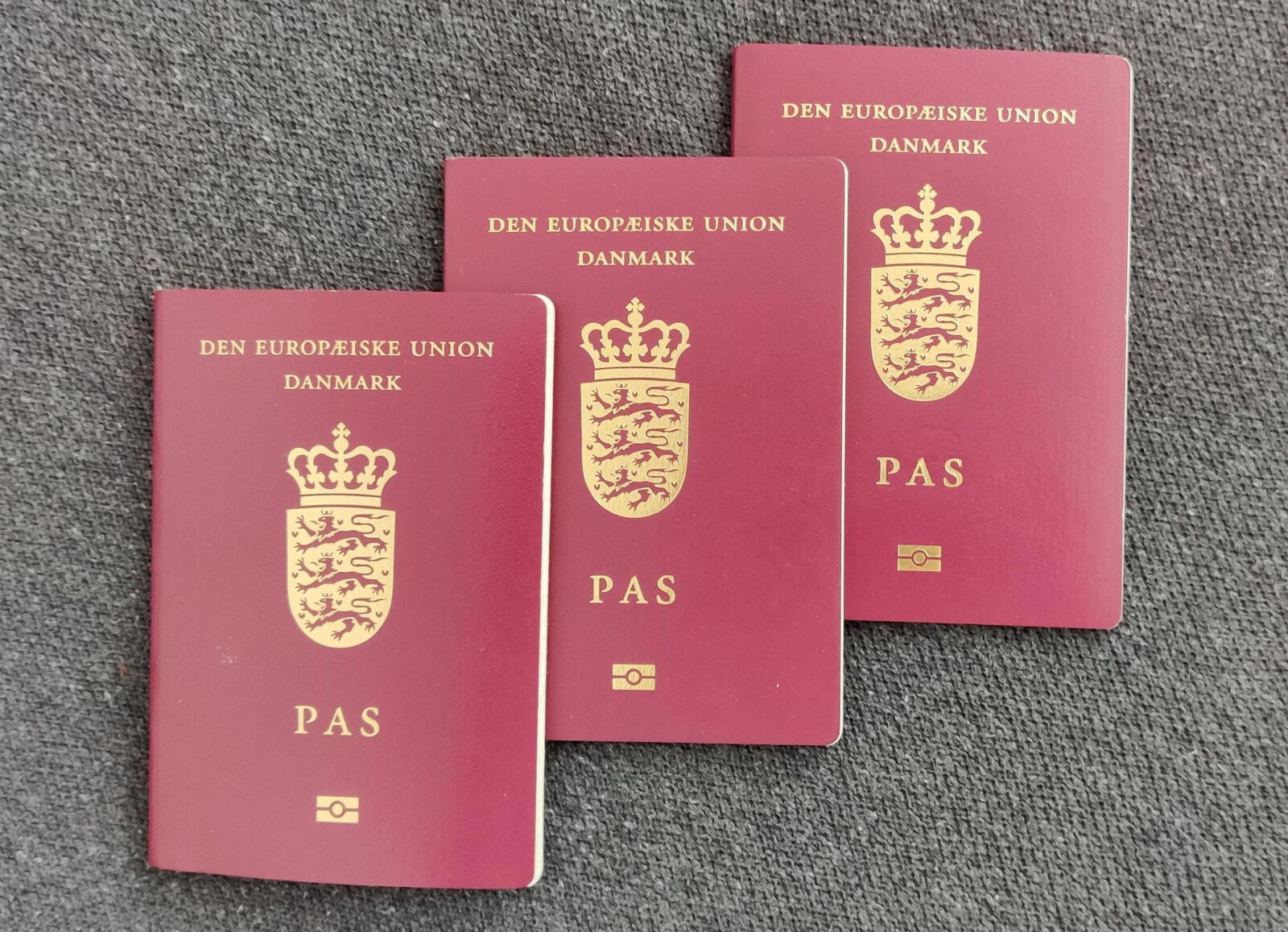 Uenighed i regeringen om samtaler om sindelag • POV International