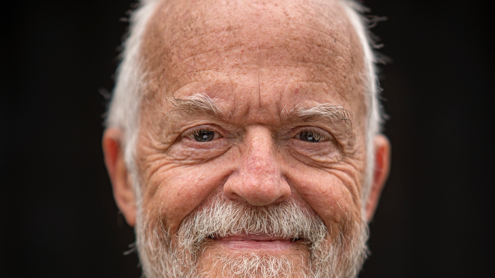 Ny bog: Henrik Jensens apokalyptiske historieskrivning • POV International