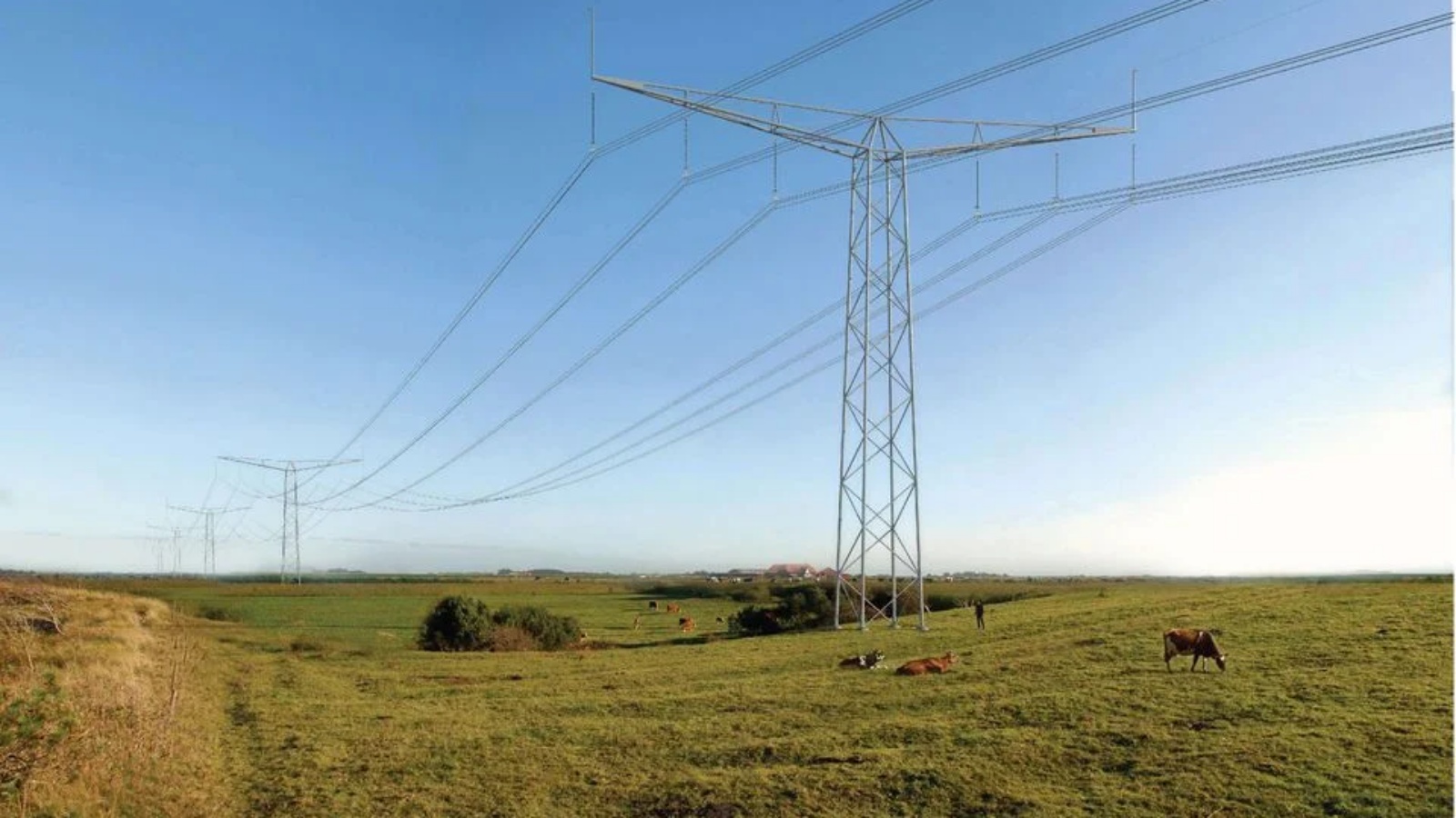 Hvem skal først have grøn strøm? Ny energiminister arver betændt el ...